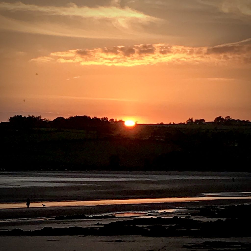 The God of Small Things – Terry McCann In Real Life